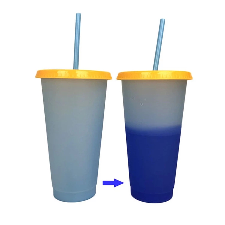 700ml Hot Sale Custom Cold Water Plastic Color Change Mug with Straw ...